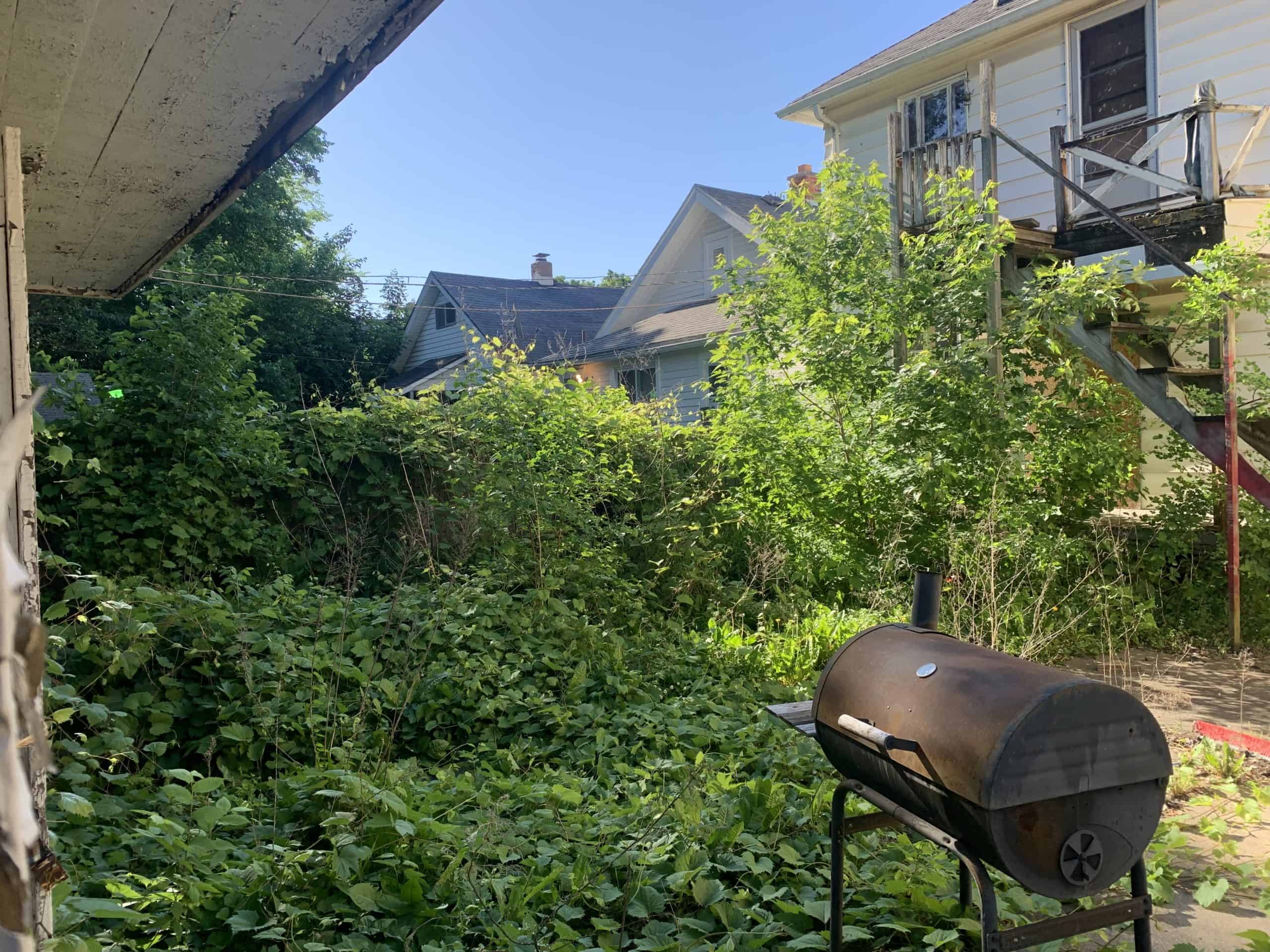Overgrown Property Received Citation from Health Department - Needs ...