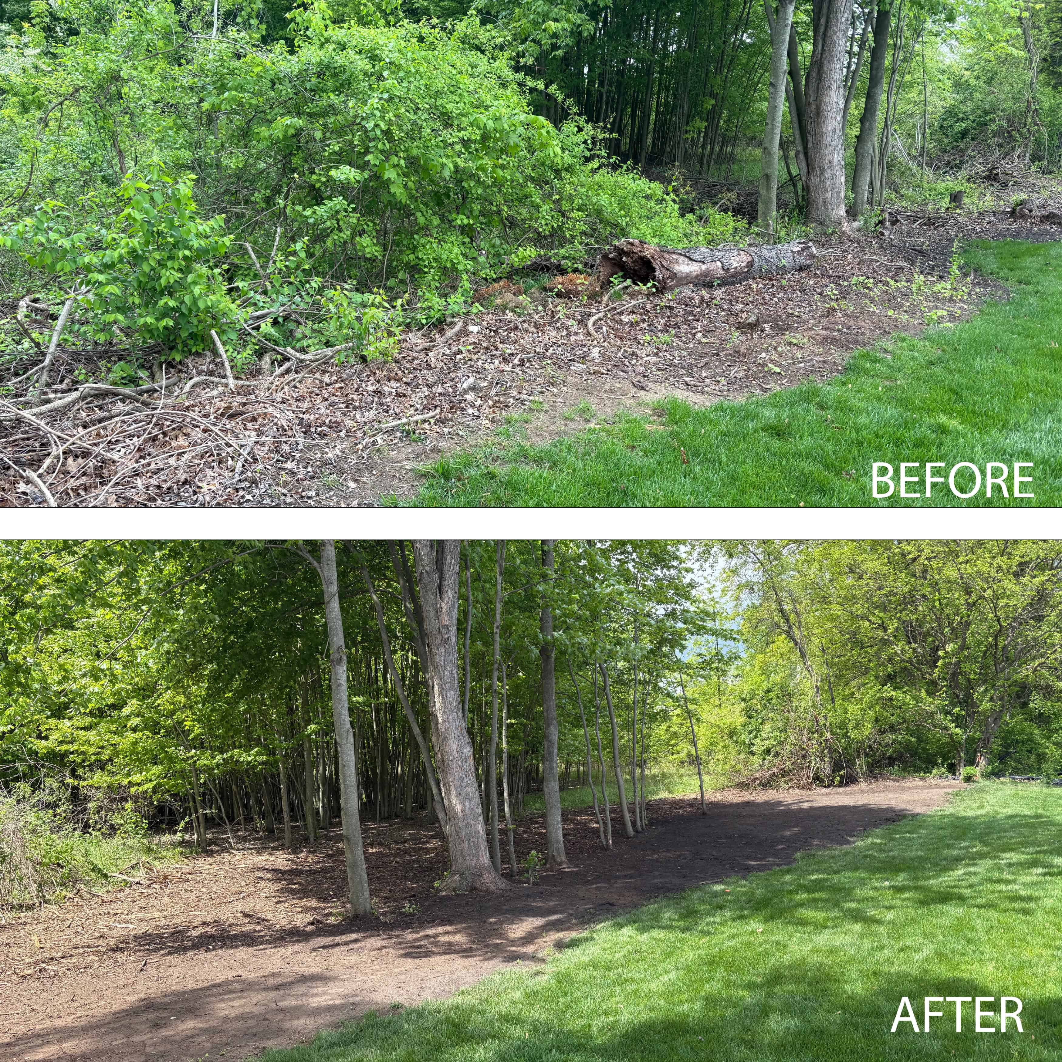 Brush clearing, woods / lot and overgrowth clean up whitehouse, ohio ...